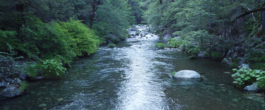 Big Chico Creek Ecological Reserve (BCCER) - Eli Goodsell - The ... Big Chico Creek Ecological Reserve (BCCER) - Eli Goodsell - The ...